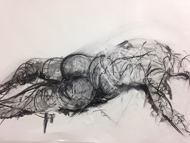 Life Modelling Workshop | Data Thistle