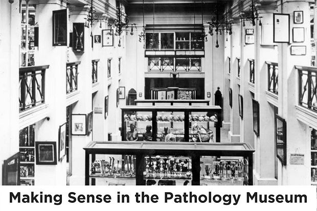 Making Sense in the Pathology Museum: Surgeons' Hall Museums in the ...