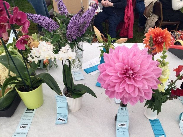 Lairg Crofters Show | Data Thistle