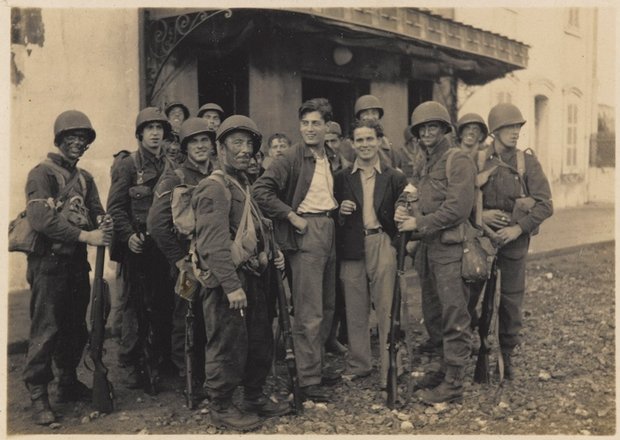 Operation Torch | Data Thistle