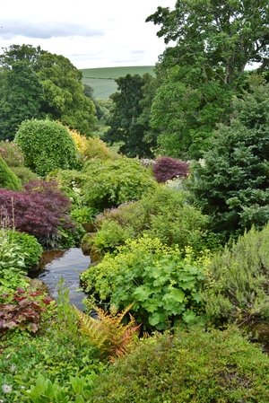 Charity Garden Opening - Lennel Bank | Data Thistle