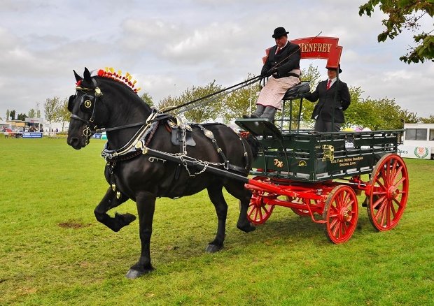 Sandringham Game and Country Fair | Data Thistle