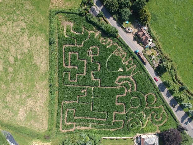 Maize Maze | Data Thistle