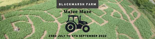 The Most Amazing Maize Maze in Dorset | Data Thistle