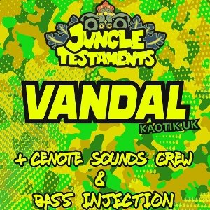 Jungle Testaments: VANDAL (KAOTIK) & BASS INJECTION | Data Thistle