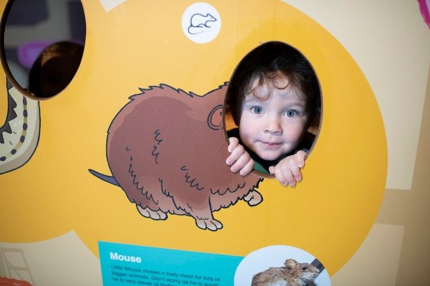 Mouse House | Data Thistle