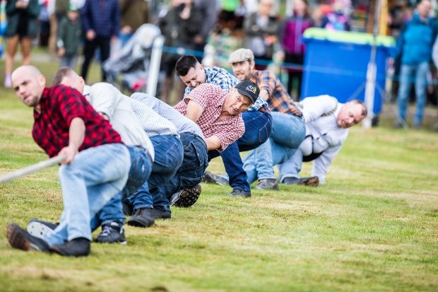 Moy Country Fair | Data Thistle