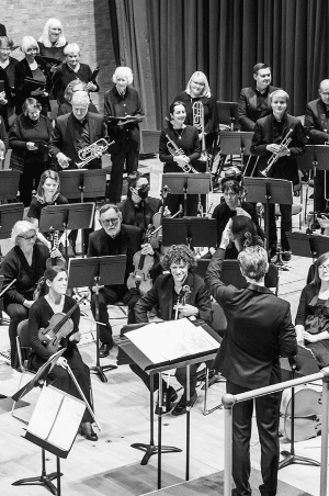 Storybook LIVE | Data Thistle