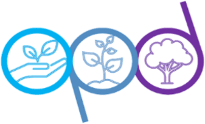 Opd Pathway National Whole Network Event | Data Thistle