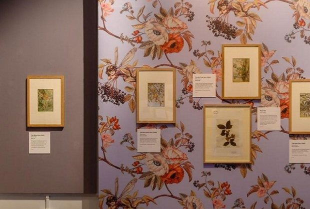 Celebrating 100 years of the Flower Fairies | Data Thistle