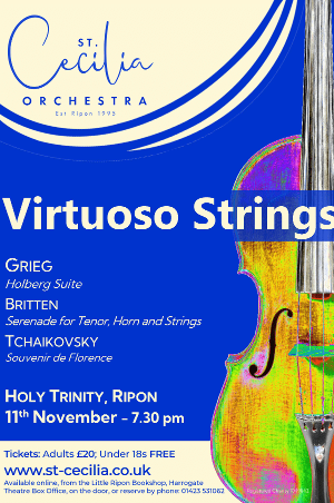 Virtuoso Strings | Data Thistle
