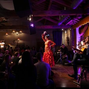 Flamenco with Lourdes Fernando & Her Trio at Jamboree | Data Thistle
