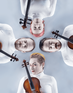 Bowjangles: Dracula in Space | Data Thistle