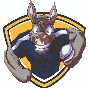 Exmouth Beach Rugby / Netball Fest 2024 | Data Thistle