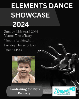 Elements Dance Showcase 2024 | Data Thistle