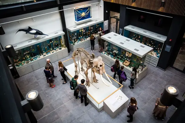 The Cole Museum Of Zoology (The University of Reading, Reading)