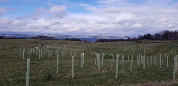 Lauriston Farm Tour of the Trees | Data Thistle