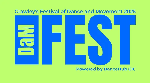 DaM Fest 2025 | Data Thistle