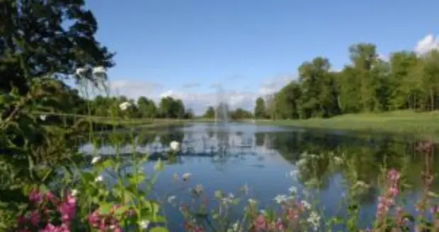 Music in a Mansion ' Imaginary Landscapes; poetry and harp with Chris ...