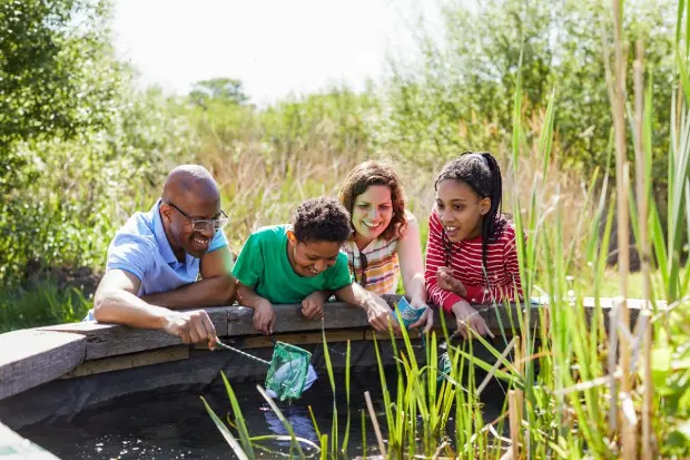 Send Family Day | Data Thistle