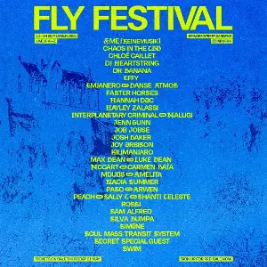 Fly Festival 2025 | Data Thistle