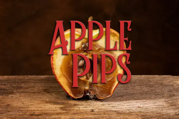 'Apple Pips' at Queens Park Arts Centre and Limelight Theatre | Data ...