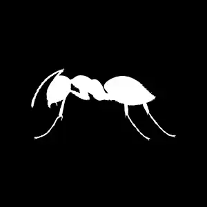 ANTS on Tour London | Data Thistle